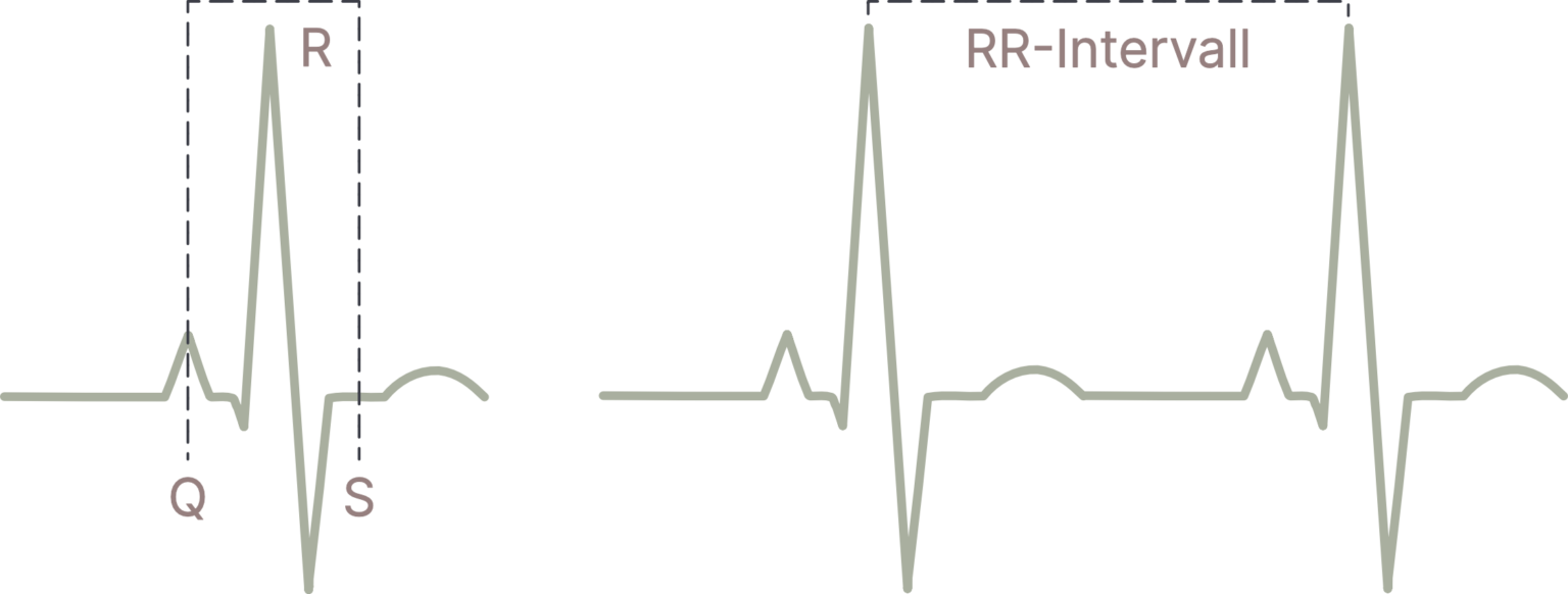 HRV-Parameter - Messung und Berechnung | HRVGuide